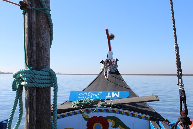 Moliceiro boat trip, with experience in bivalves harvesting - Who Should Take This Tour?