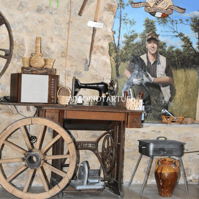 Molise: Di Iorio Truffles Truffle Museum Entry with food Tasting - Final Thoughts: Is It Worth It?