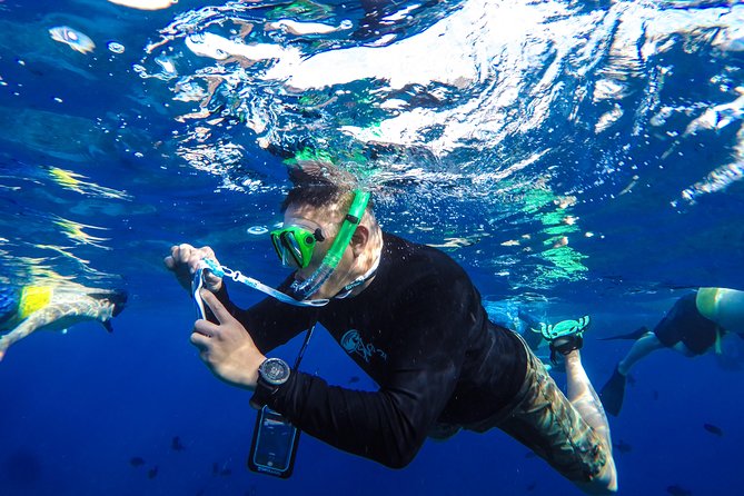 Molokini and Turtle Arches Snorkeling Trip from Ma'alaea Harbor - Reviews: Real Experiences from Real Travelers