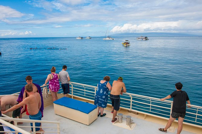 Molokini and Turtle Arches Snorkeling Trip from Ma'alaea Harbor - Pricing and Value Analysis