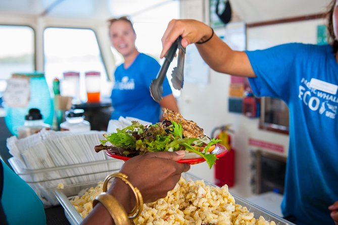 Molokini and Turtle Arches Snorkeling Trip from Ma'alaea Harbor - Final Thoughts: Is This Tour Right for You?