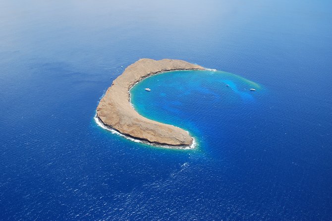 Molokini Crater Snorkeling Adventure - Why This Tour Is a Great Choice