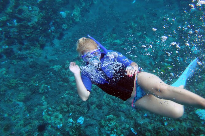 Molokini Crater Snorkeling Adventure - The Real Value of the Tour