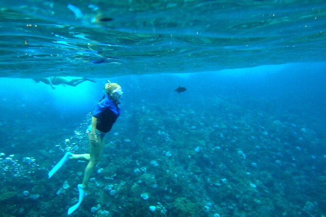 Molokini Crater Snorkeling Adventure - FAQ