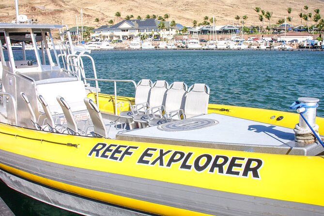 Molokini Crater Zodiac Adventure: Snorkel and Turtle Cove Swim - Final Thoughts