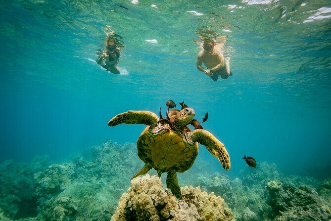 Molokini Snorkel Trip 2-Hour From Kihei - A Closer Look at the Itinerary