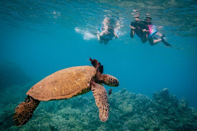 Molokini Snorkel Trip 2-Hour From Kihei - Who Should Book This Tour?