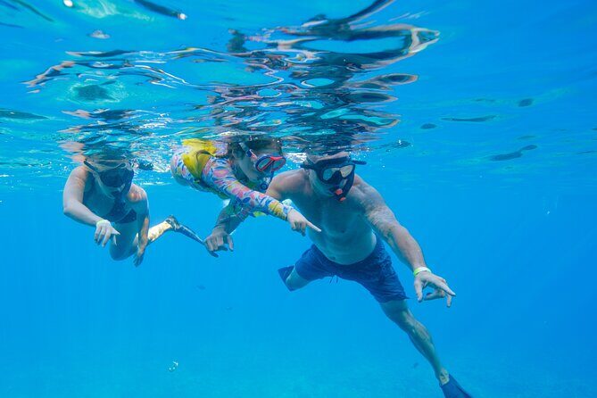 Molokini Snorkel Trip 2-Hour From Kihei - The Sum Up: Is It Worth It?