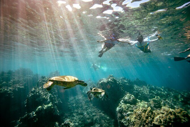 Molokini Snorkel Trip 2-Hour From Kihei - FAQs