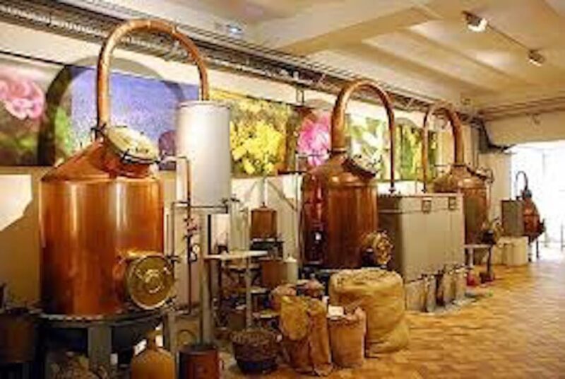 Monaco and Perched Medieval Villages Day Tour from Nice - Key Points