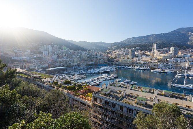 Monaco Private Walking Tour With A Professional Guide - The Highlights: Landmarks and Stories