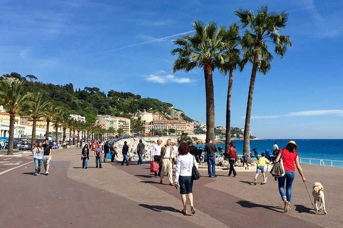 MONACO Shore Excursion : Private Tour French Riviera Highlights - Practical Considerations