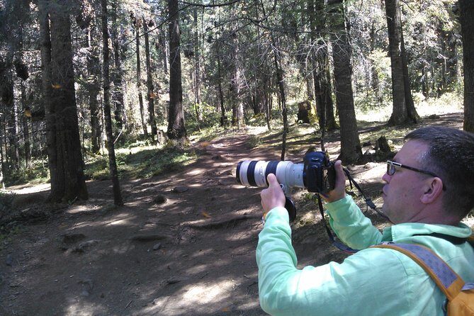 Monarch Butterfly group tour. Join me to watch #butterflies - The Sum Up