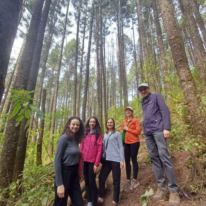 Monarch Butterfly Mexico Reserve Sanctuary & Valle de Bravo - Introduction: What’s This Tour About?