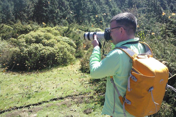 Monarch Butterfly Private Tour (Morelia) - Why Reviewers Rave About This Experience