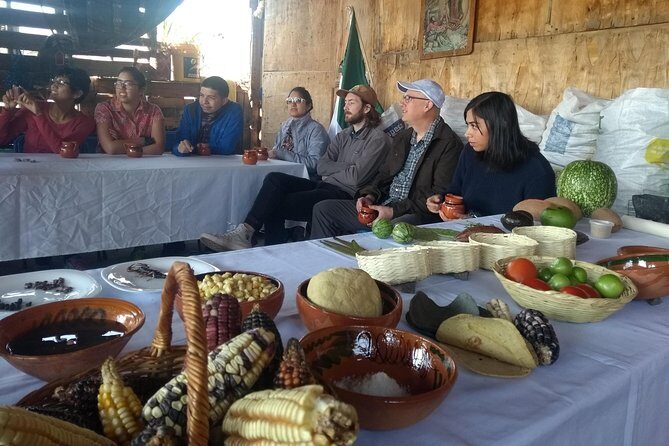 Monarch Butterfly Tour from Mexico City - In-Depth Look at the Tour