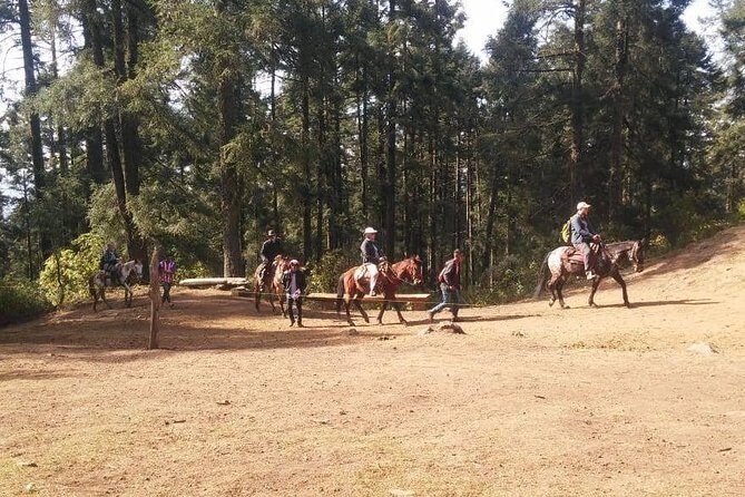 Monarch Butterfly Tour from Mexico City - FAQ