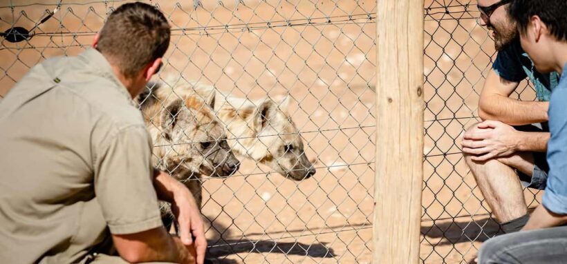 Monarto Safari Park: Keeper for a Day - Key Points