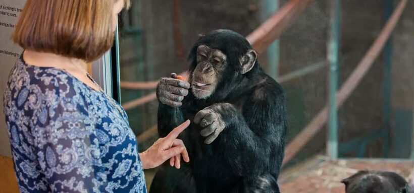 Monarto Safari Park: Keeper for a Day - Detailed Itinerary and What to Expect