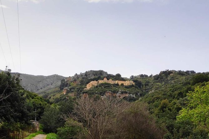Monastery - Ancient Olive tree & Museum-Cretan Brewery Private Tour from Chania - Considerations Before Booking