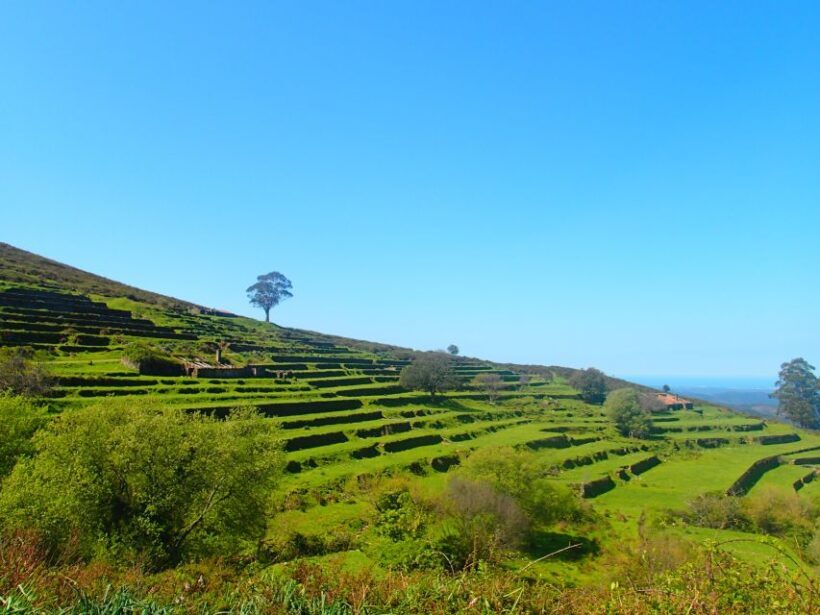 Monchique and Fóia: Half Day Tour - What Makes Monchique and Fóia Stand Out?