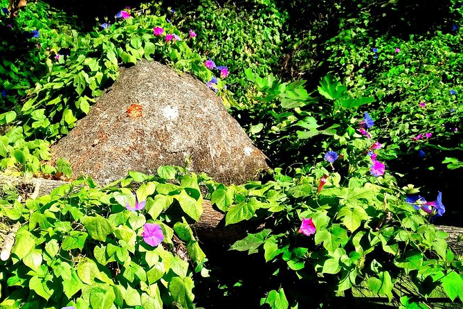 Monchique Half Day Small-Group Tour From Lagos - Convenient Pickup and Drop-off Options