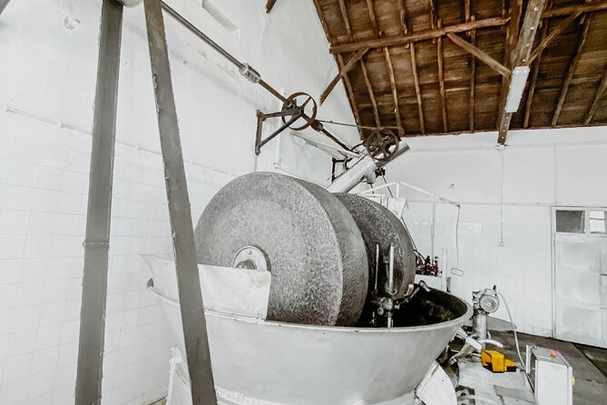 Monchique Hills & Flavors - The Scenic Start: Serra da Picota