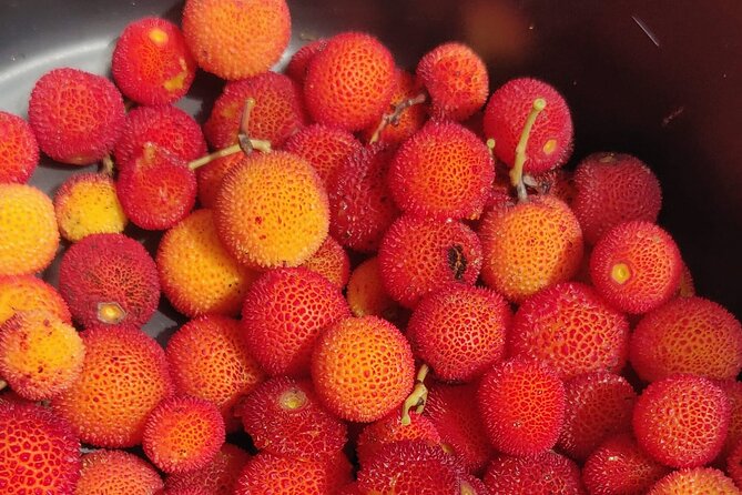 Monchique Hills & Flavors - Analyzing the Value