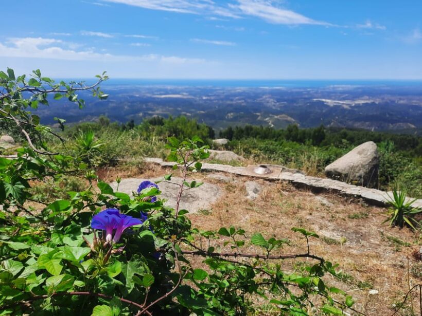 Monchique & Silves: guided day trip - Exploring the Tour in Detail