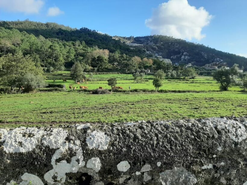 Monchique & Silves: guided day trip - The Sum Up