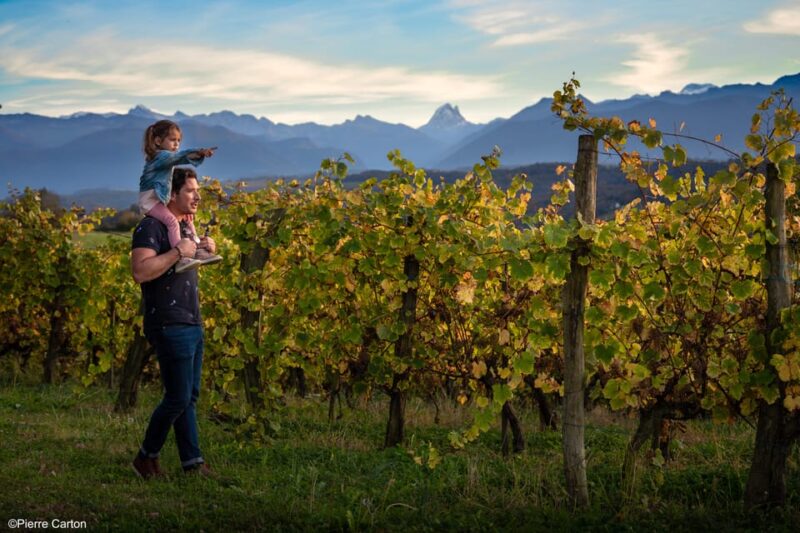 Monein - Suspicion in Jurançon - What Makes This Tour Special?