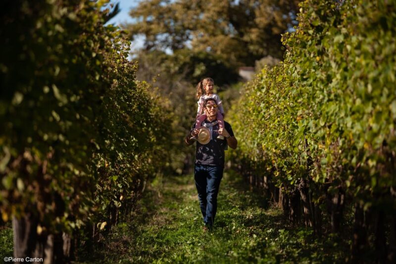 Monein - Suspicion in Jurançon - Detailed Breakdown of the Itinerary