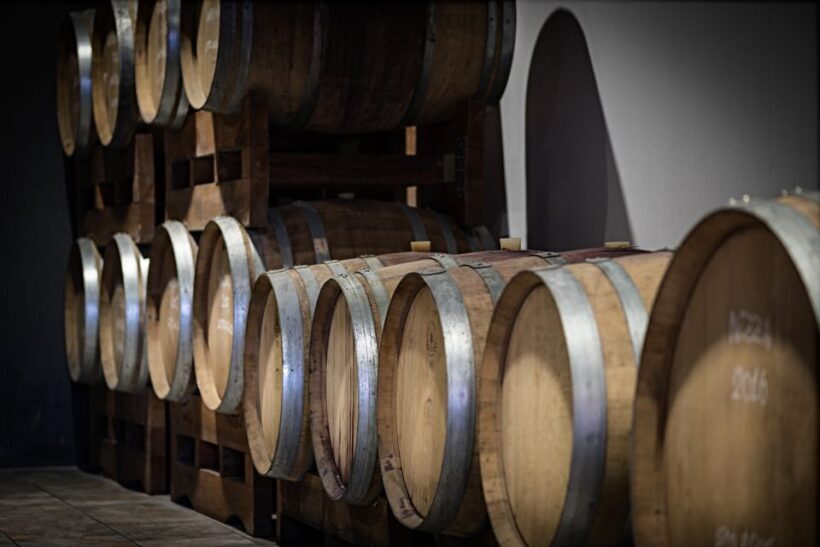 Monferrato: Barbera Wine Tasting Experience - Exploring the Monferrato Wine Tasting Experience