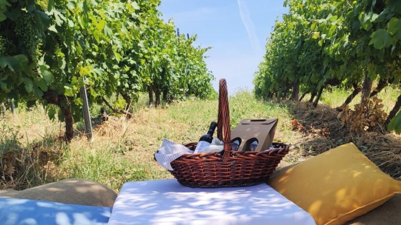 Monferrato: Garetto Wine Estate Tour and Picnic Private - Who Will Love This Experience?