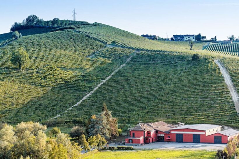 Monferrato: Garetto Wine Estate Tour and Picnic Private - Final Thoughts