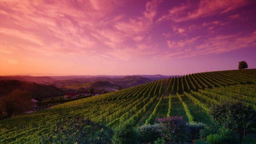 Monferrato: Garetto Wine Estate Tour and Picnic Private - FAQ