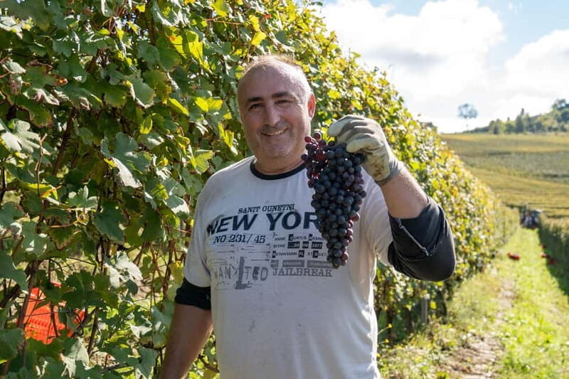 Monforte d'Alba: 7 glasses of Langhe with visit to Winery and Vineyards - An In-Depth Look at the Experience