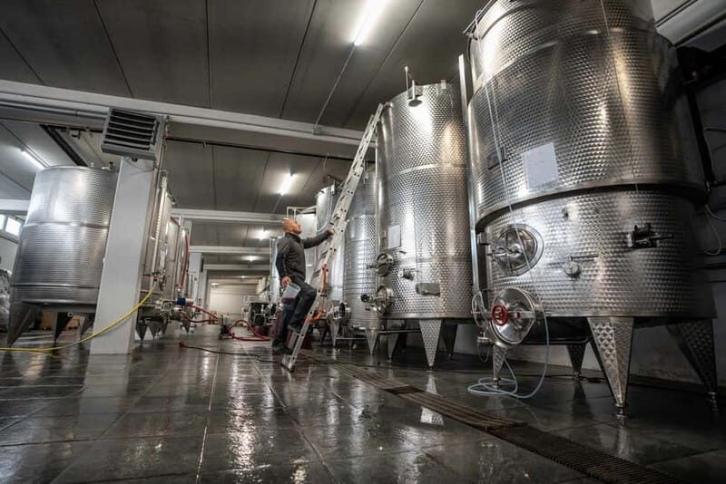 Monforte d'Alba: 7 glasses of Langhe with visit to Winery and Vineyards - The Sum Up