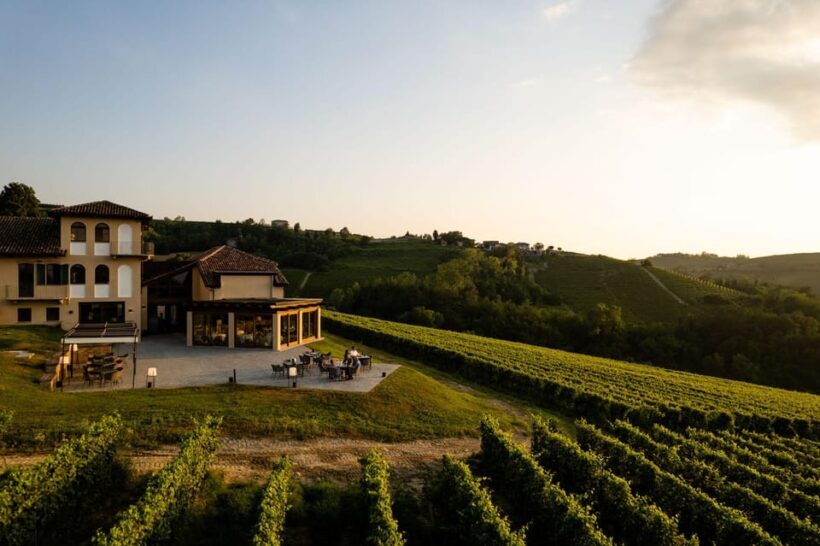 Monforte d'Alba: Barolo Tasting, Vineyard & Cellar Visit - What’s It Like on the Ground?