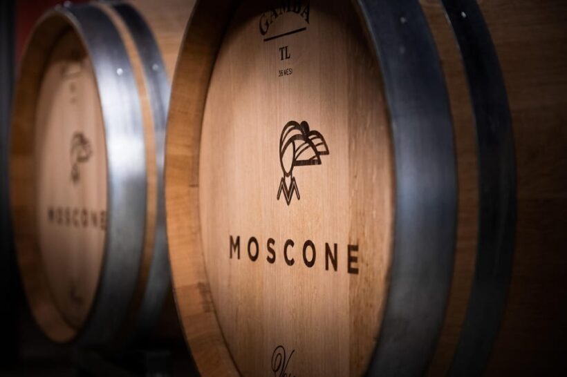 Monforte d'Alba in Langhe: Unforgettable Winery Tasting - Monforte dAlba in Langhe: Unforgettable Winery Tasting