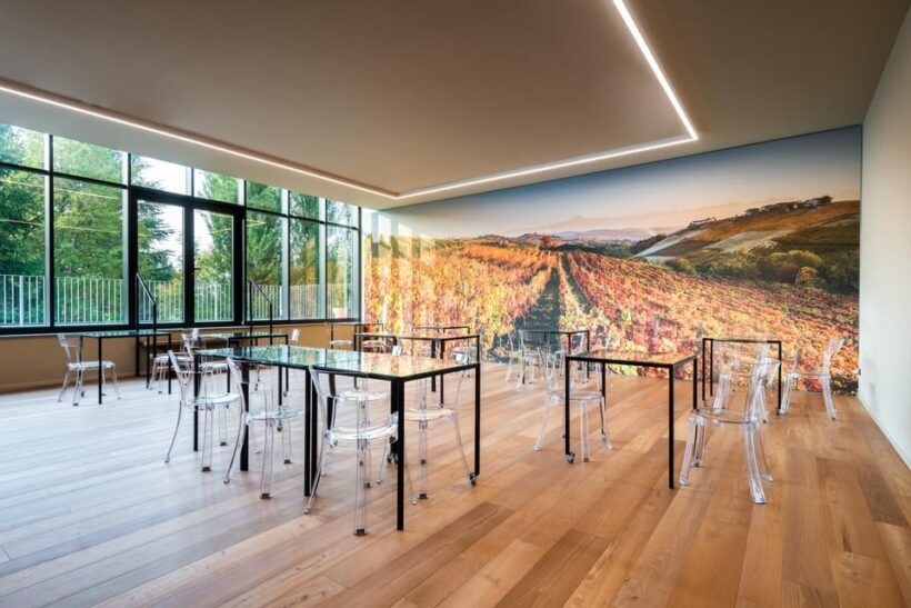 Monforte d'Alba in Langhe: Unforgettable Winery Tasting - What’s Missing? And Who Might Want More