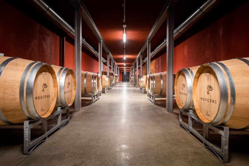 Monforte d'Alba in Langhe: Unforgettable Winery Tasting - Practical Tips for Visitors