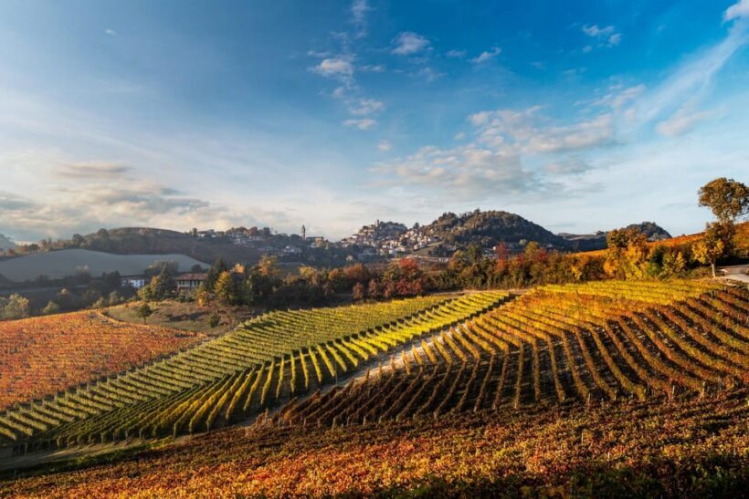 Monforte d'Alba in Langhe: Unforgettable Winery Tasting - FAQs