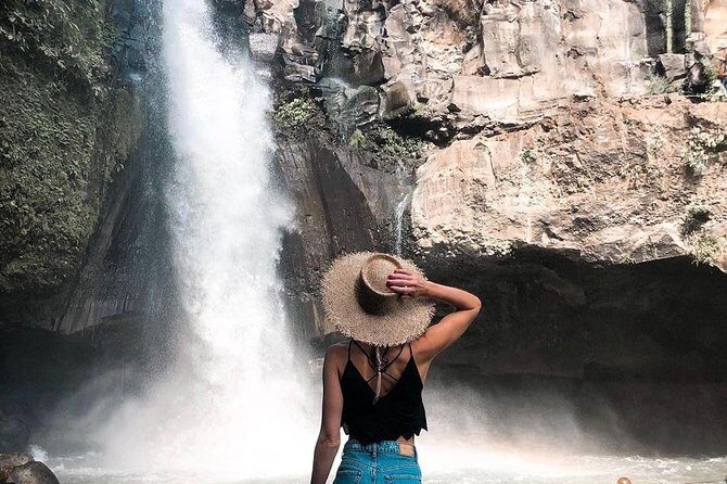 Mongkey Forest , Water Temple , Waterfall and Rice Terraces - Who Should Book This Tour?