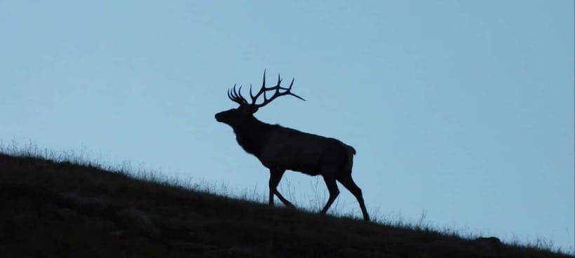 Mongolia: Hustai National Park - What to Bring and Wear