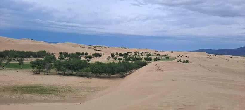 Mongolia: Mini Gobi, Orkhon, and Kharkhorin 4 Day Tour - FAQ