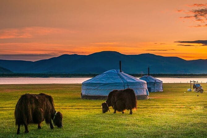 Mongolia - Sedan, Lexus, UAZ Minivan, 4WD Tour& Transport Service - FAQ