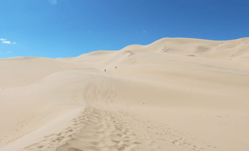 MONGOLIA SOUTH GOBI DESERT: 6 Day Exclusive Private Tour - The Transport and Guide Experience