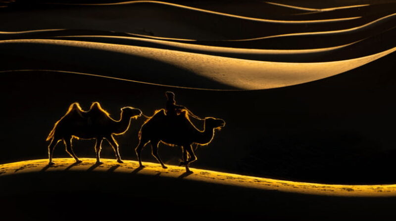 MONGOLIA SOUTH GOBI DESERT: 6 Day Exclusive Private Tour - Practicalities and Preparation Tips