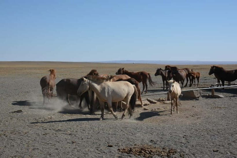 Mongolia: Yol Valley Horseback Riding Tour - Introduction